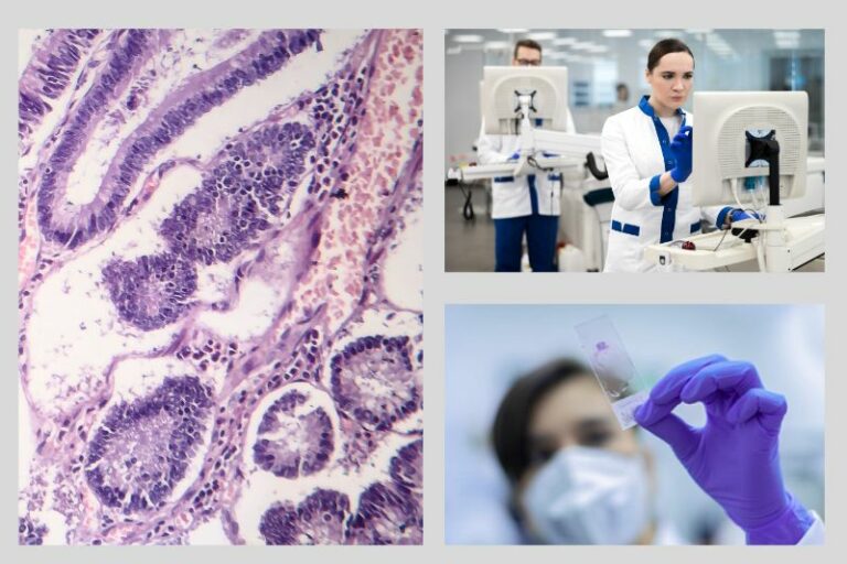 News | Active Silicon | Digital slide scanners for better pathology