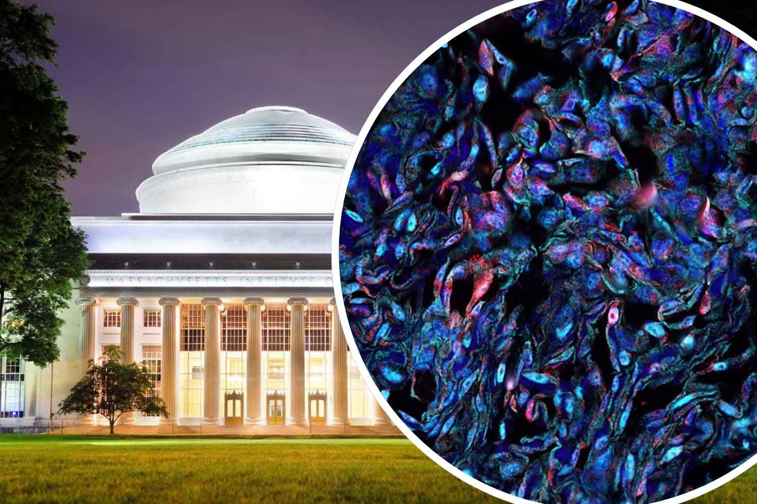 Imaging products, embedded systems & solutions | Active Silicon