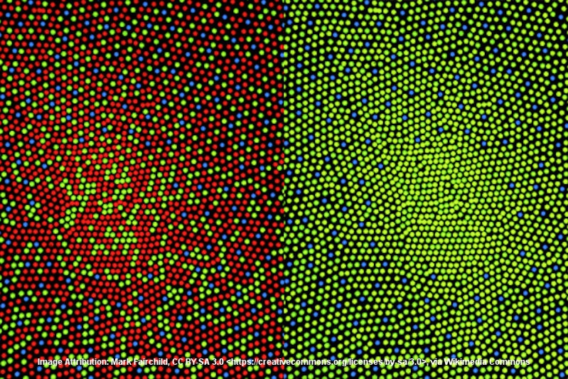 Active Silicon | Smart contact lenses shrink wearable computer vision