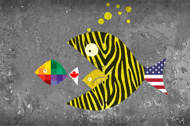 Active Silicon | News | Zebra Technologies acquires Matrox Imaging