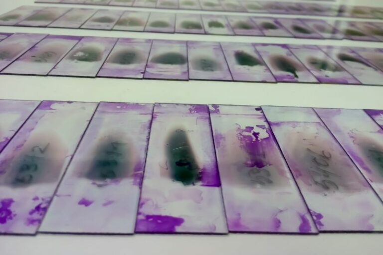 News | Active Silicon | Digital slide scanners for better pathology